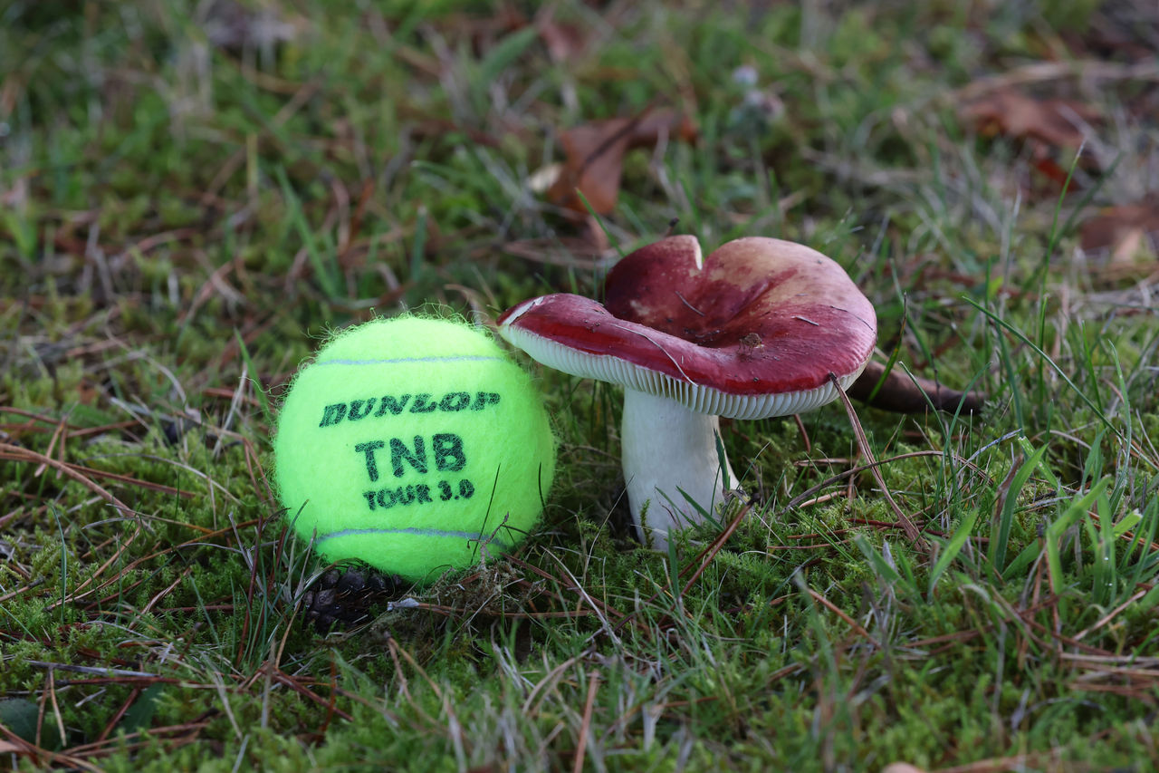 TNB-TOUR-Club Aktionen: Jetzt Top-Deals für die neue Saison sichern!